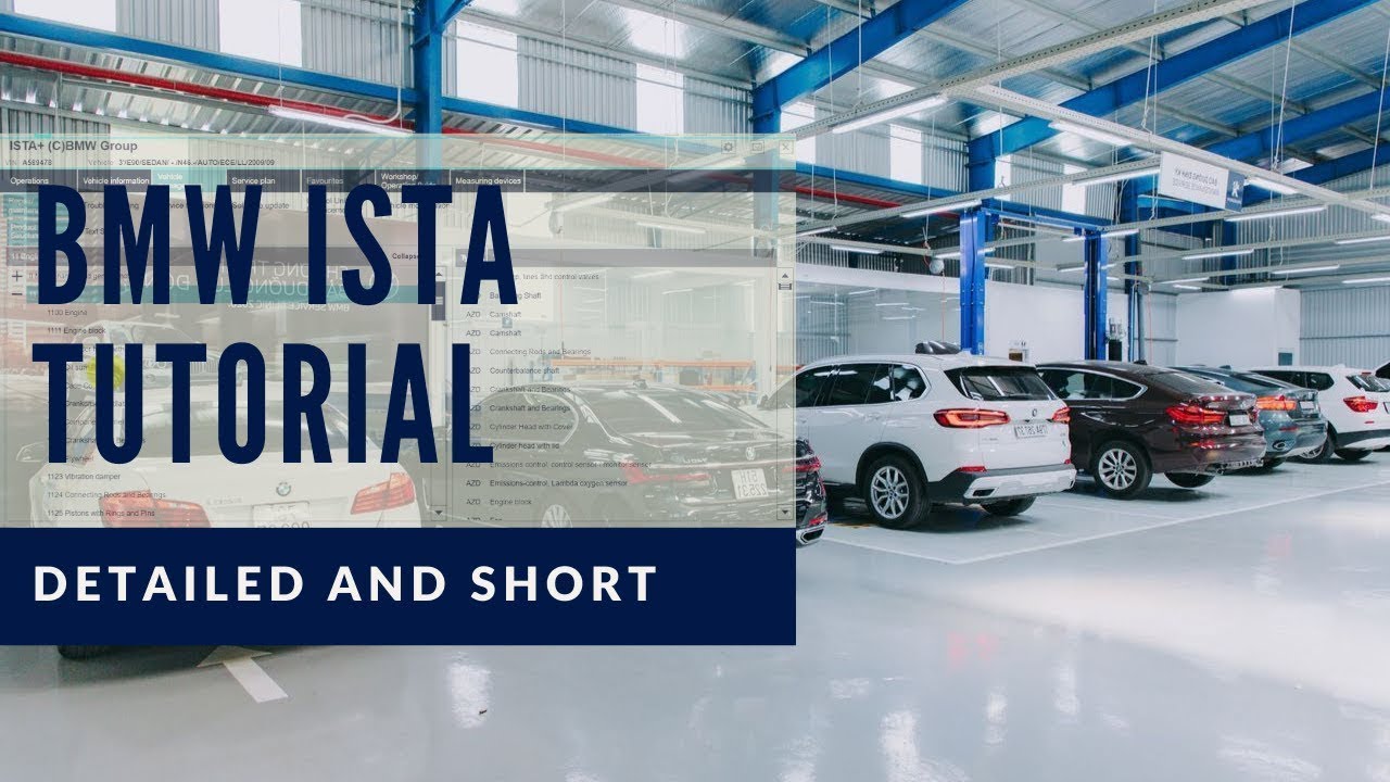 BMW Ista Tutorial - Detailed and Straightforward - YouTube