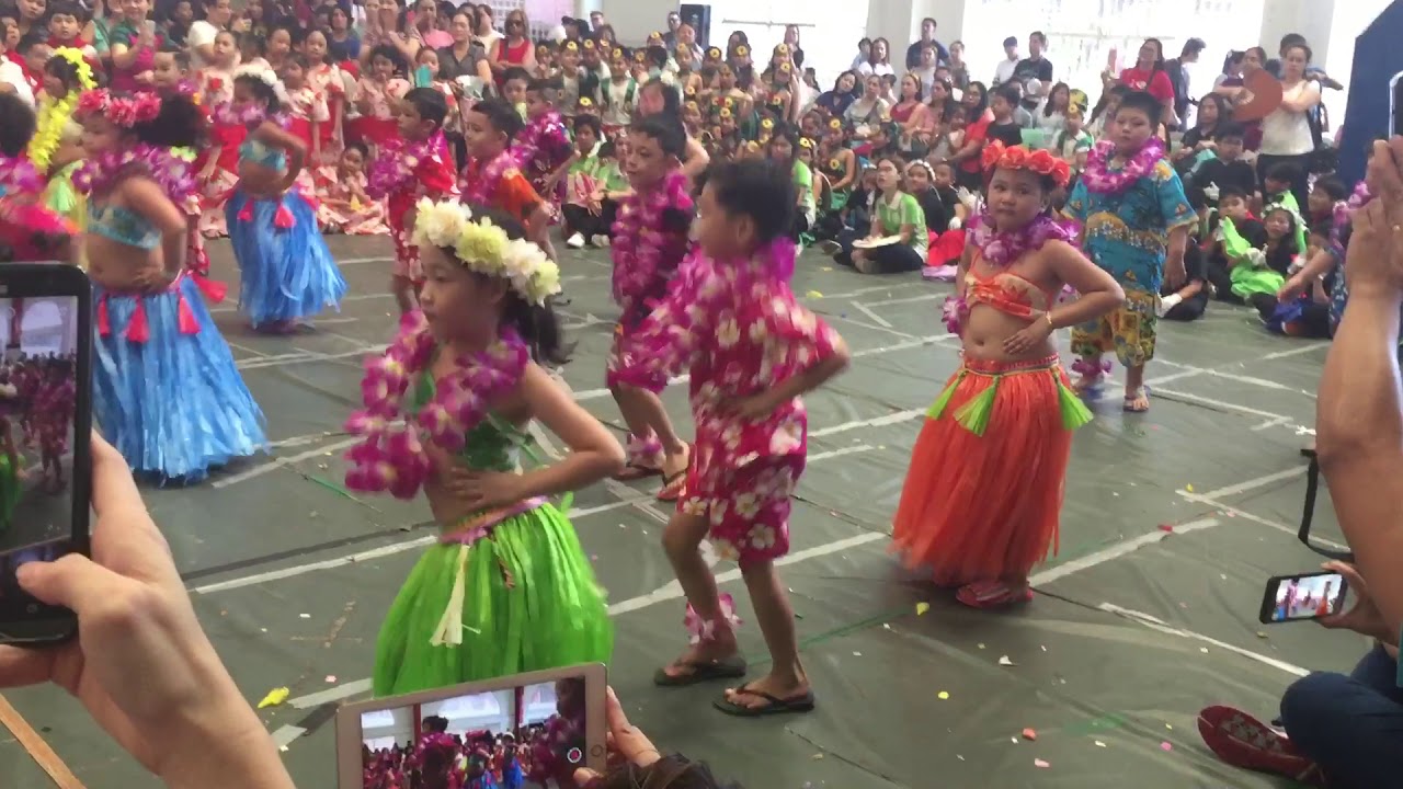 pearly shell school - YouTube