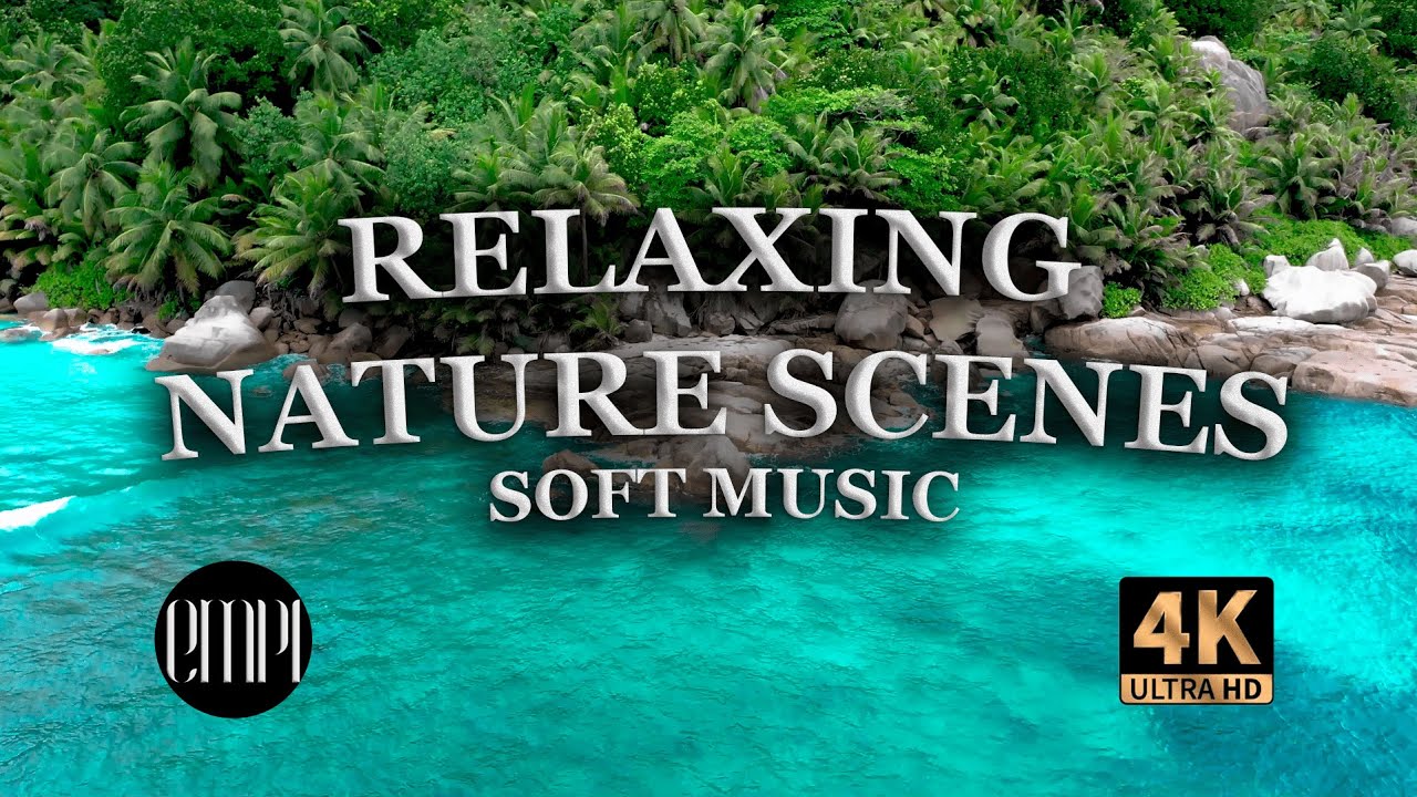 🌿 NATURALEZA en 4K | RELAXING NATURE SCENES with Soft Music 🧘 - YouTube