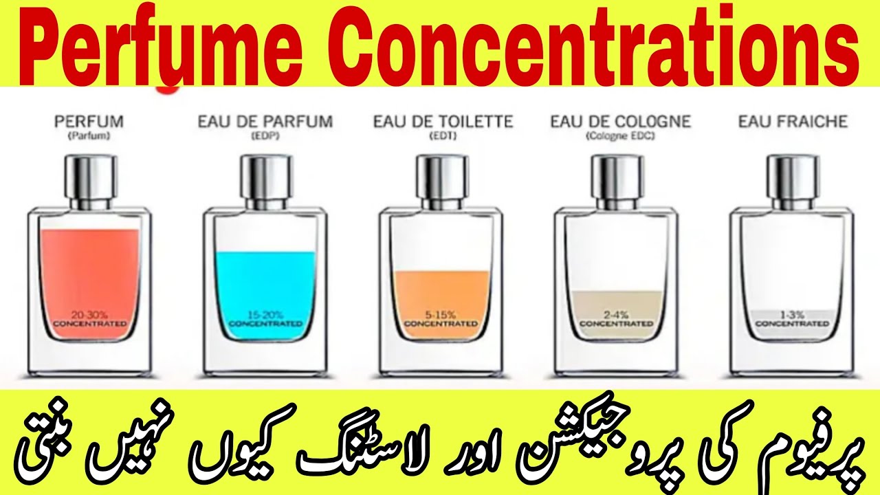 What is Perfume Concentrations in Perfume | Best Concentration of Oil ...