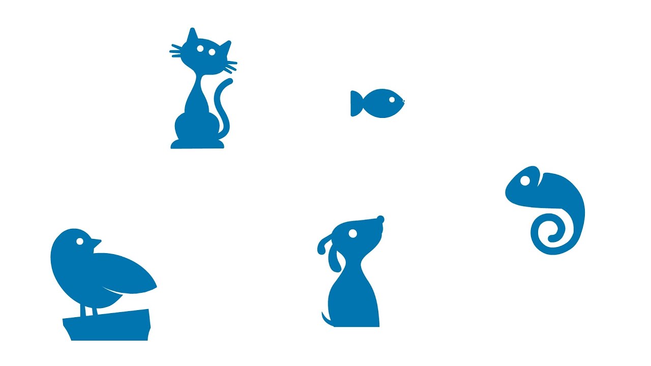 animal character minimalistic animation - YouTube