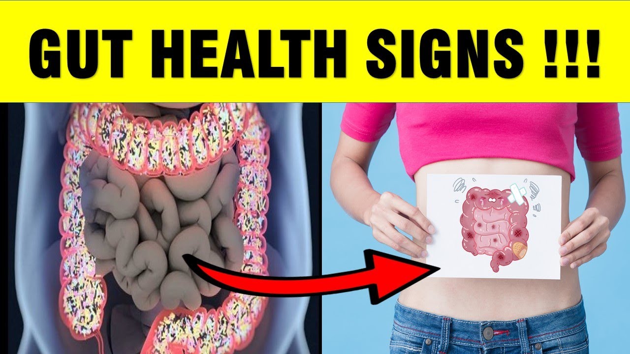 12 Warning Signs Of Unhealthy Gut And How To Improve Gut Health - YouTube
