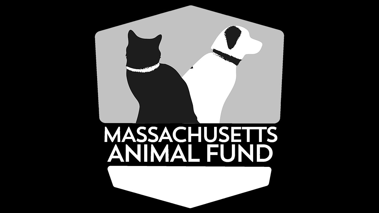 Animal Intake Form Tips for Fillable PDFs - YouTube