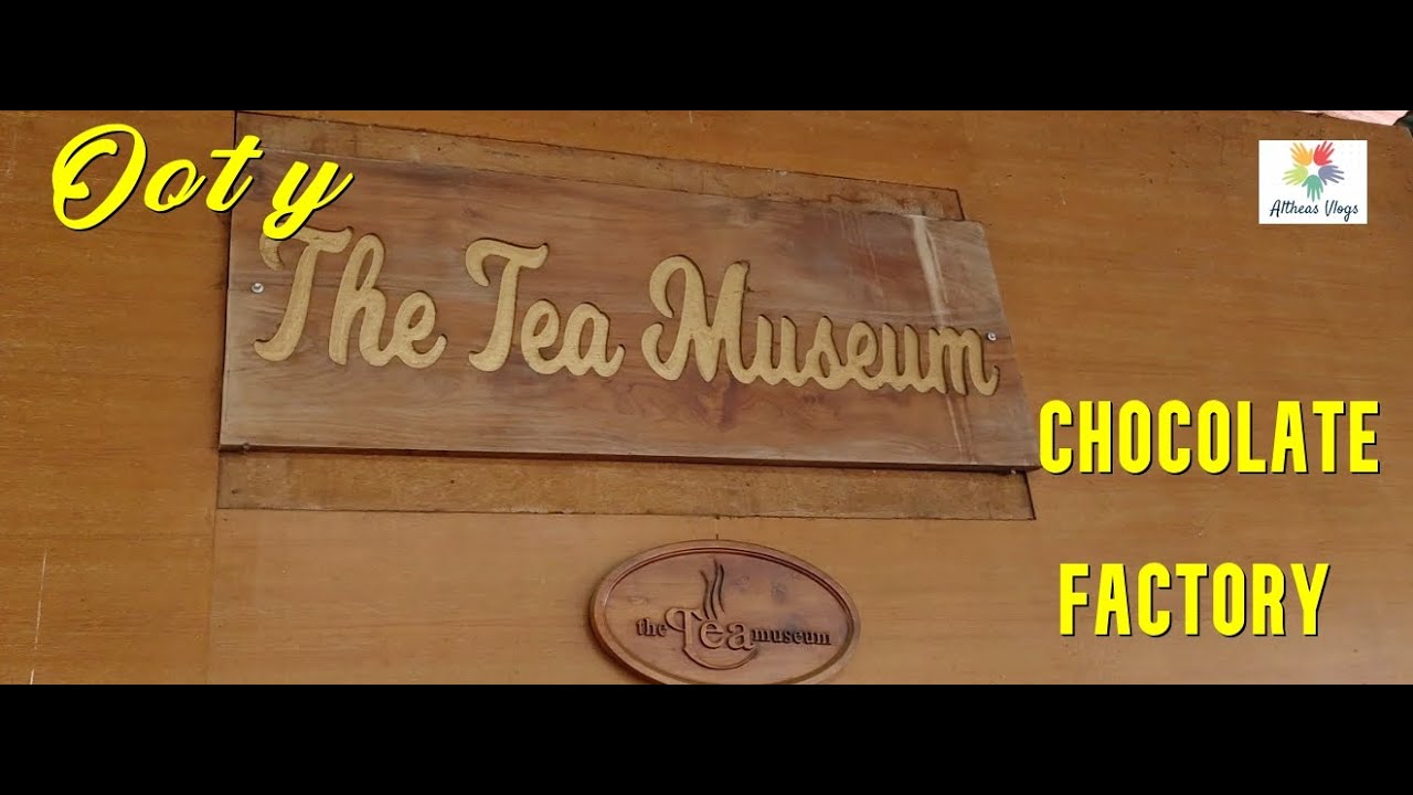Ooty Vlog Day 1 - Tea and Chocolate Factory | Benchmark Tea Factory ...