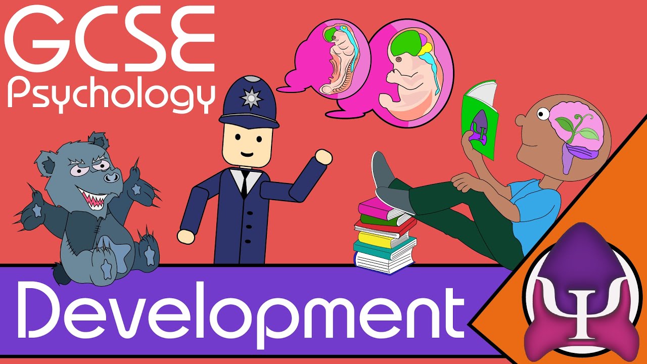 Development: GCSE Psychology - YouTube