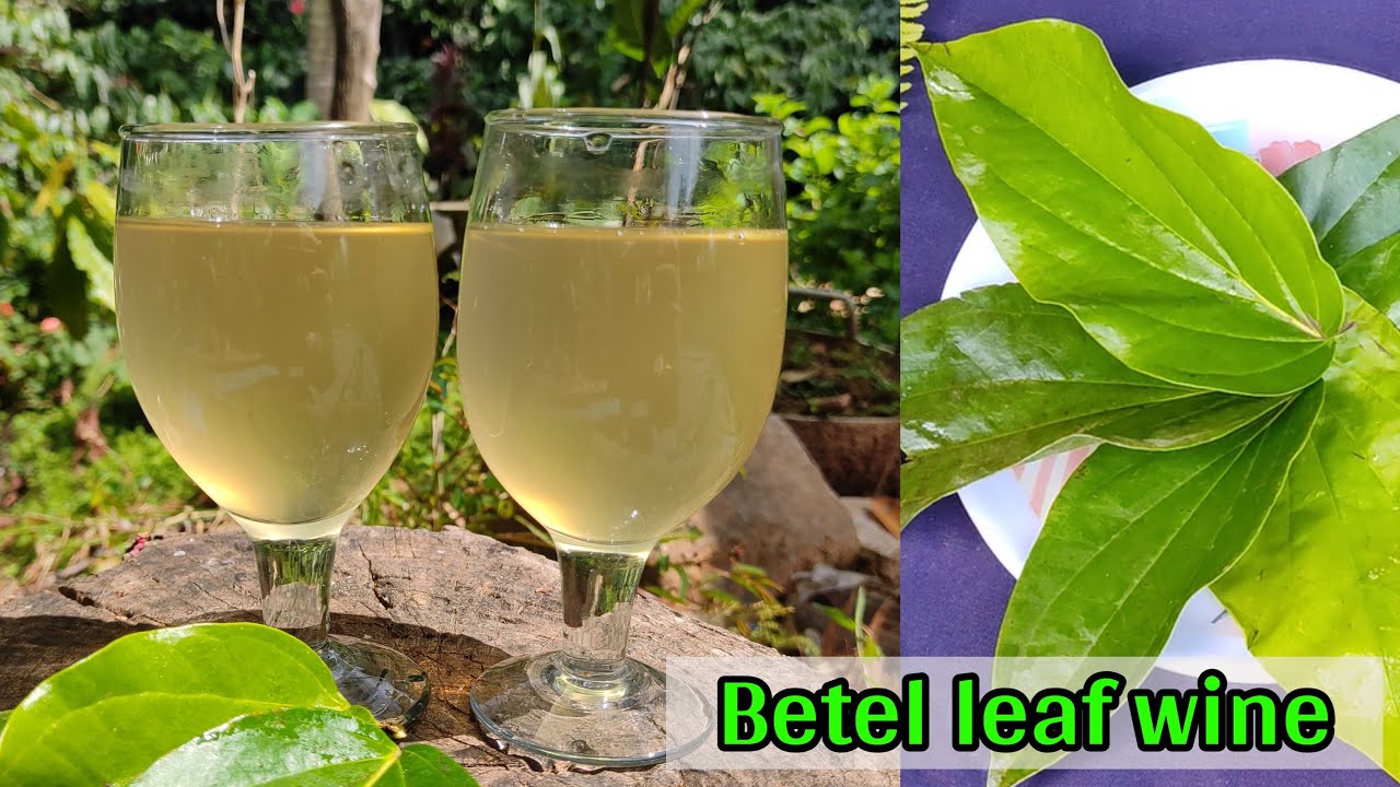 Homemade betel leaf wine recipe | How to make wine from betel leaves ...