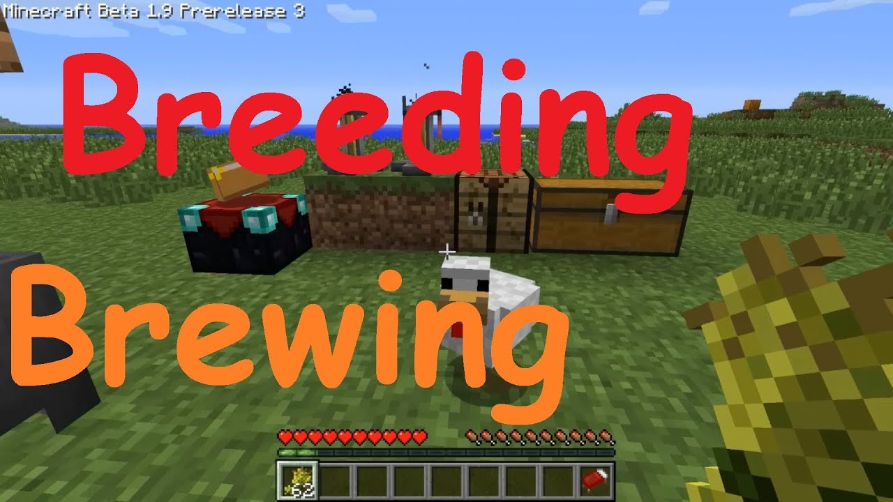 Docm77´s Minecraft Special: Breeding & Brewing [Beta 1.9 pre-release 3 ...