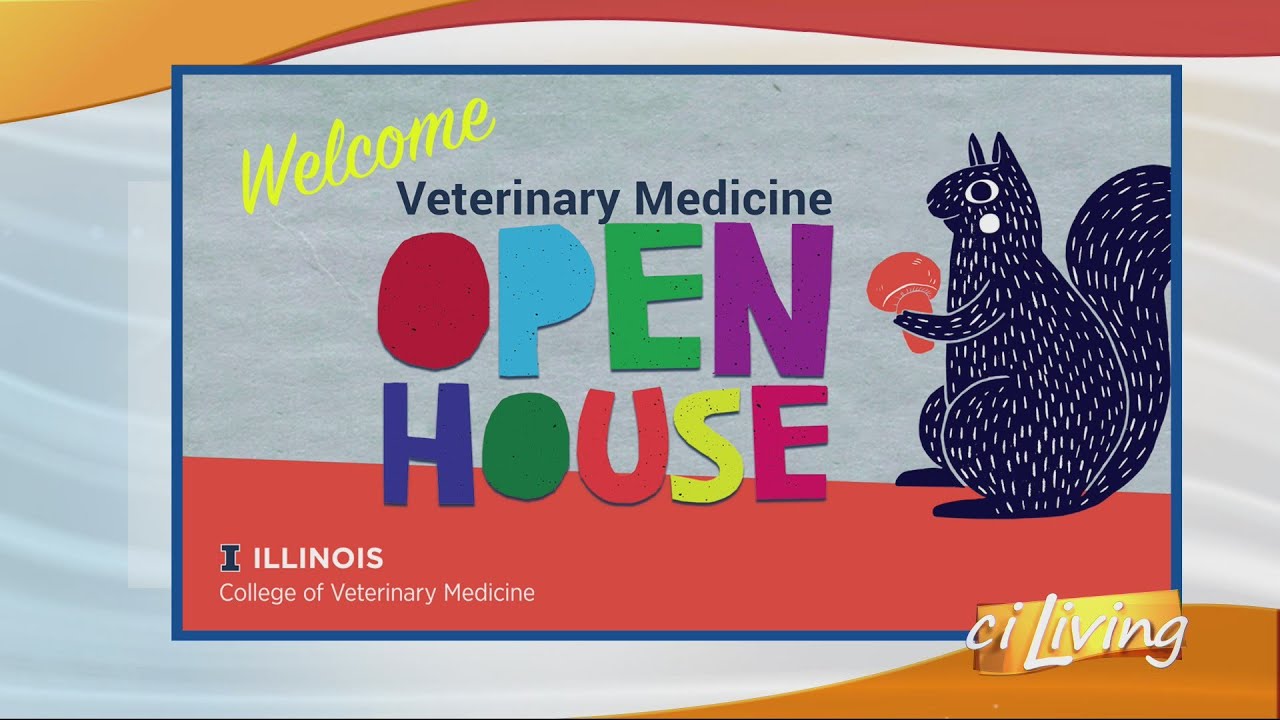 Furever Family: U of I Vet Med - YouTube
