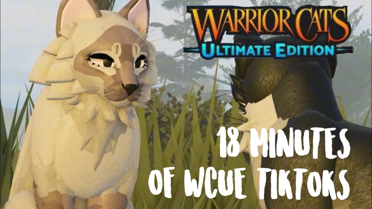 ABOUT 18 MINUTES OF WCUE TIKTOKS THAT SAVED FEATHERTAIL! [NONE ARE MINE ...