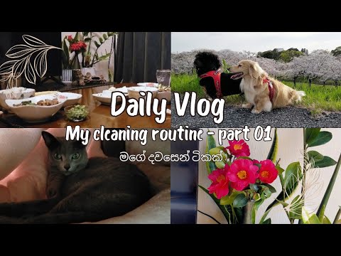 A Day in My Life as a Housewife in Japan|My Cooking & Cleaning routine  - Part 01 - මගේ දවසෙන් ටිකක්