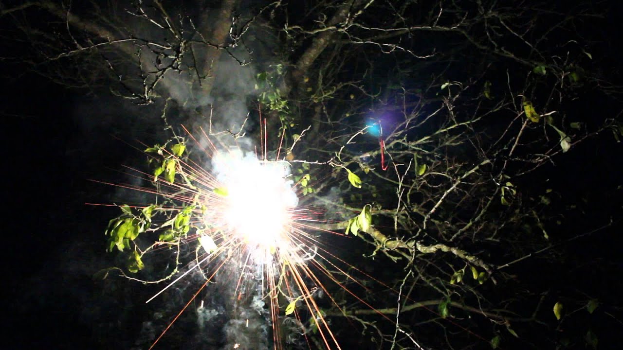 Tiger whip - YouTube