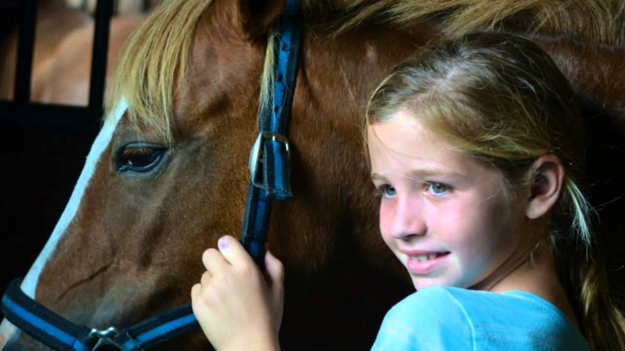 Claddagh Manor Summer - YouTube