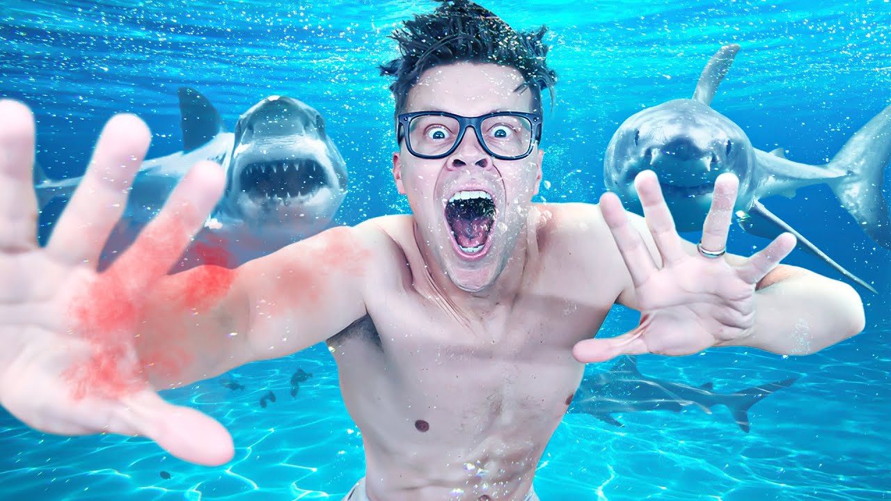 Busting My Fear of Swimming With Sharks - YouTube