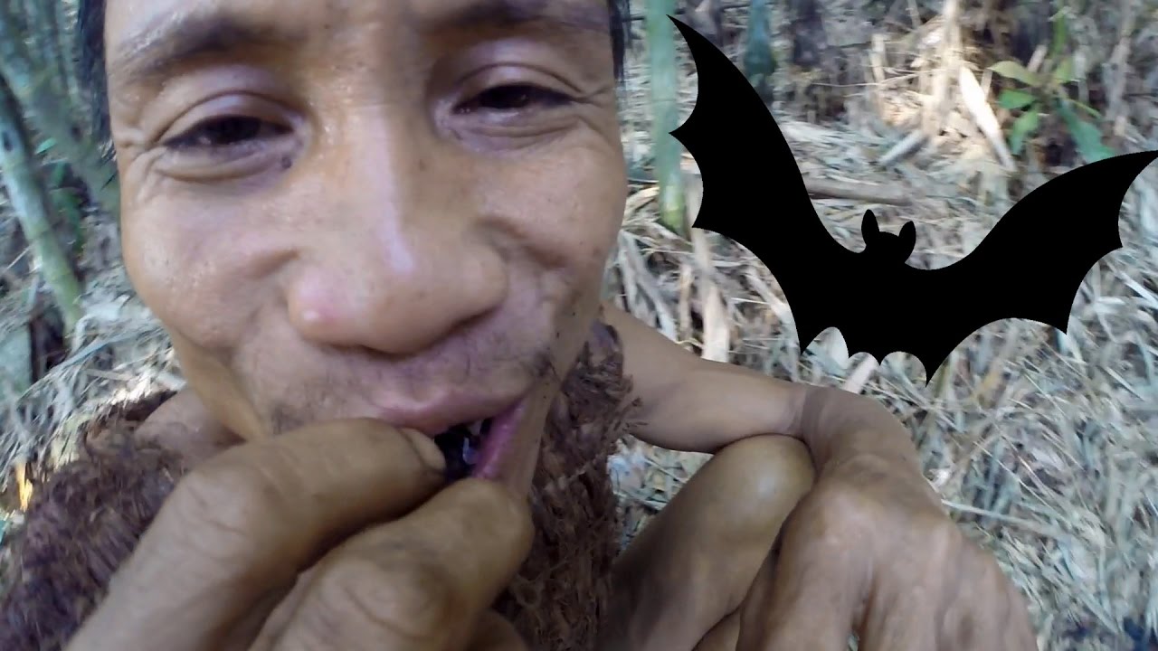 Eating Bats | Real-Life Tarzan (5/11) - YouTube