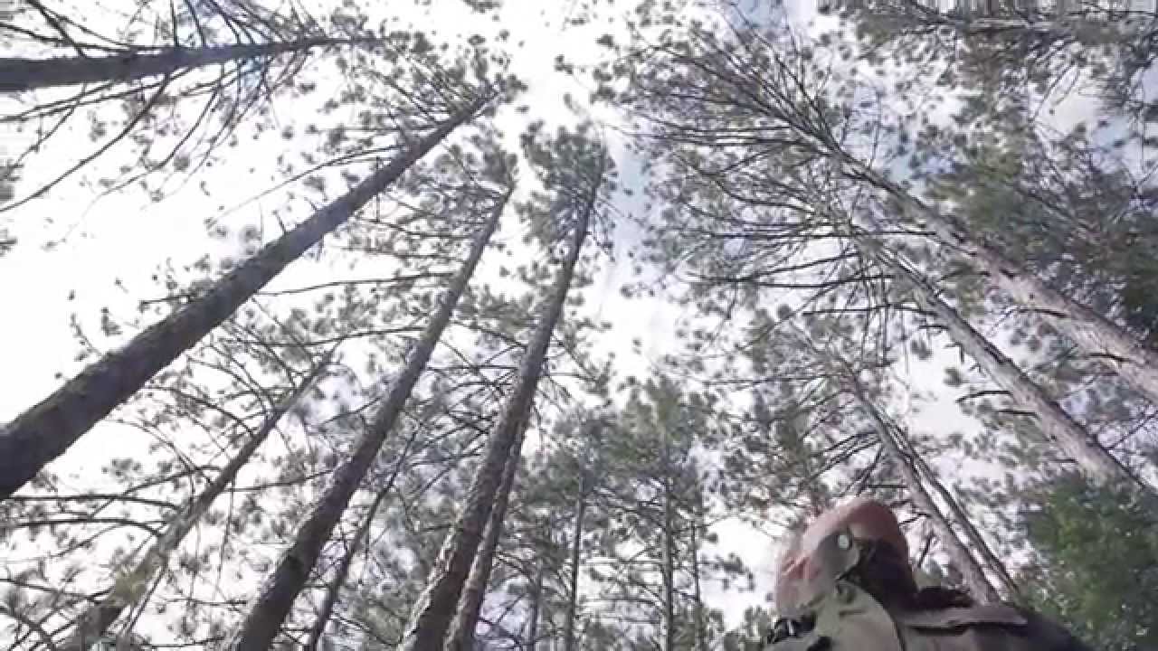 Красивые места (Beautiful places) - Потерянные кадры HD Lost frames - YouTube