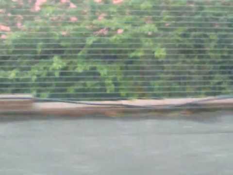Carntyne Train Station to Bellgrove Train Station in Glasgow, Scotland ...
