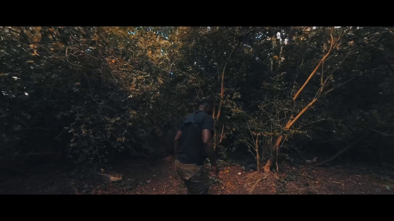 Predator One Tree Hill - YouTube