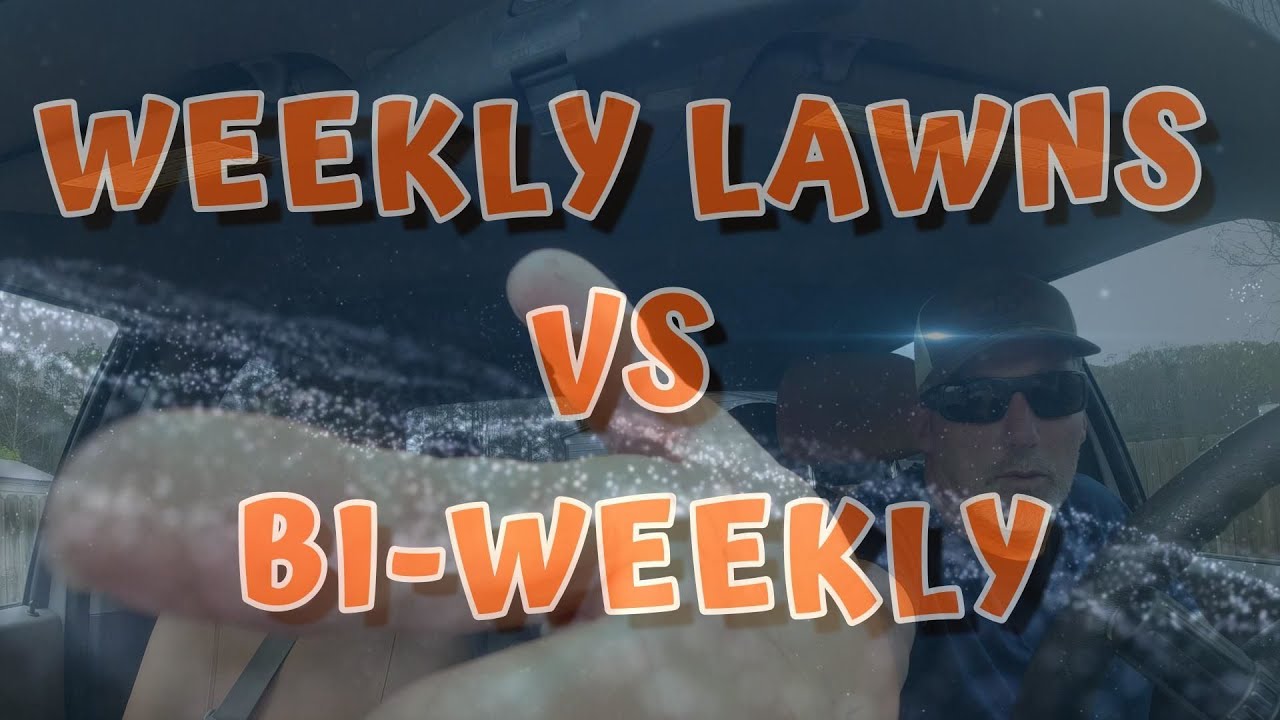 WEEKLY VS BI WEEKLY-BIG PROPERTIES OR LITTLE? - YouTube