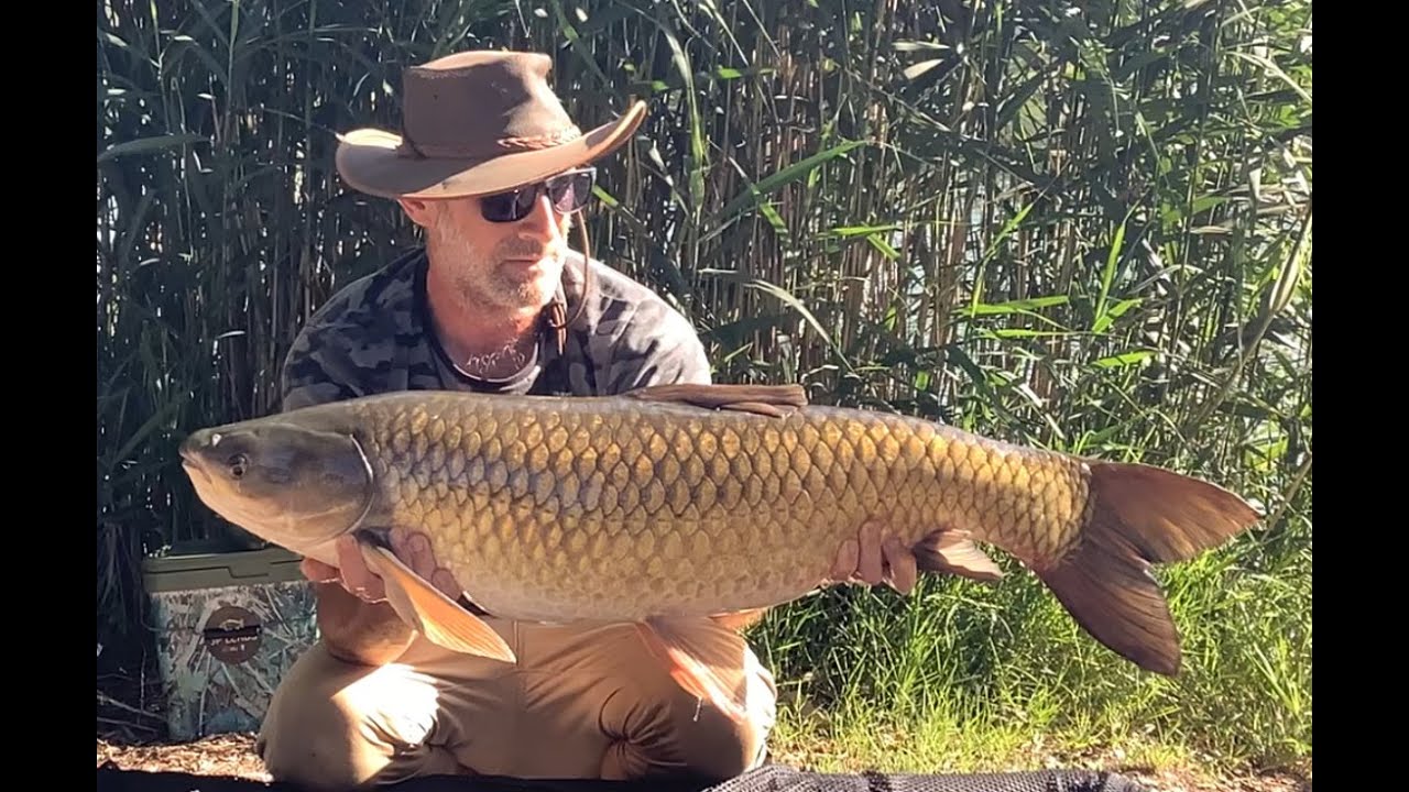 The master baiters french journey week 4 Etang Du Mas And L Etang ...