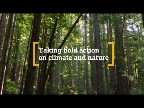 Sustainability at AstraZeneca