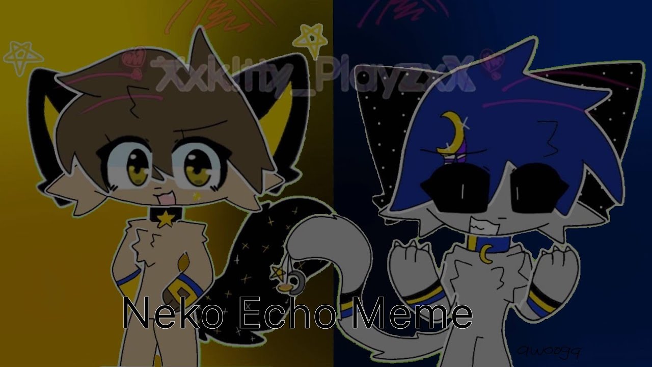 Neko echo//Animation meme🥵 [Oc]//Lazy loop🔫 and test// read desc 4 info ...