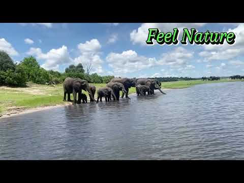 Nature lovers, STOP SCROLLING, this is your moment to refresh