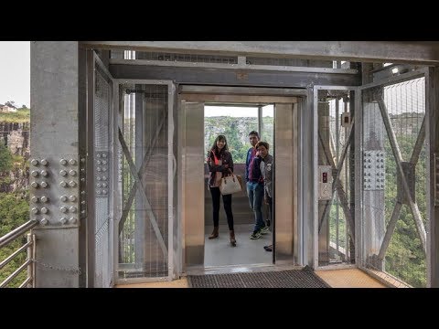Watch: This glass lift goes 50 metres down into a forest — with a ...