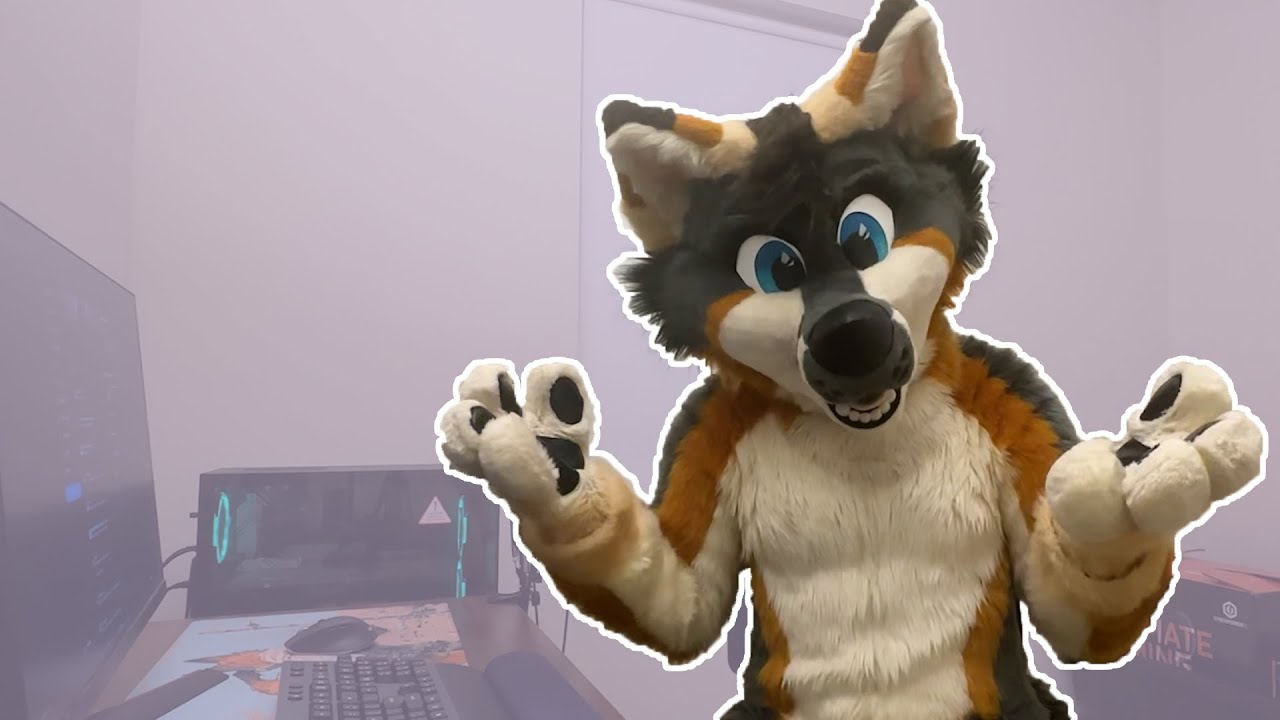 A Fox Answers Questions - YouTube