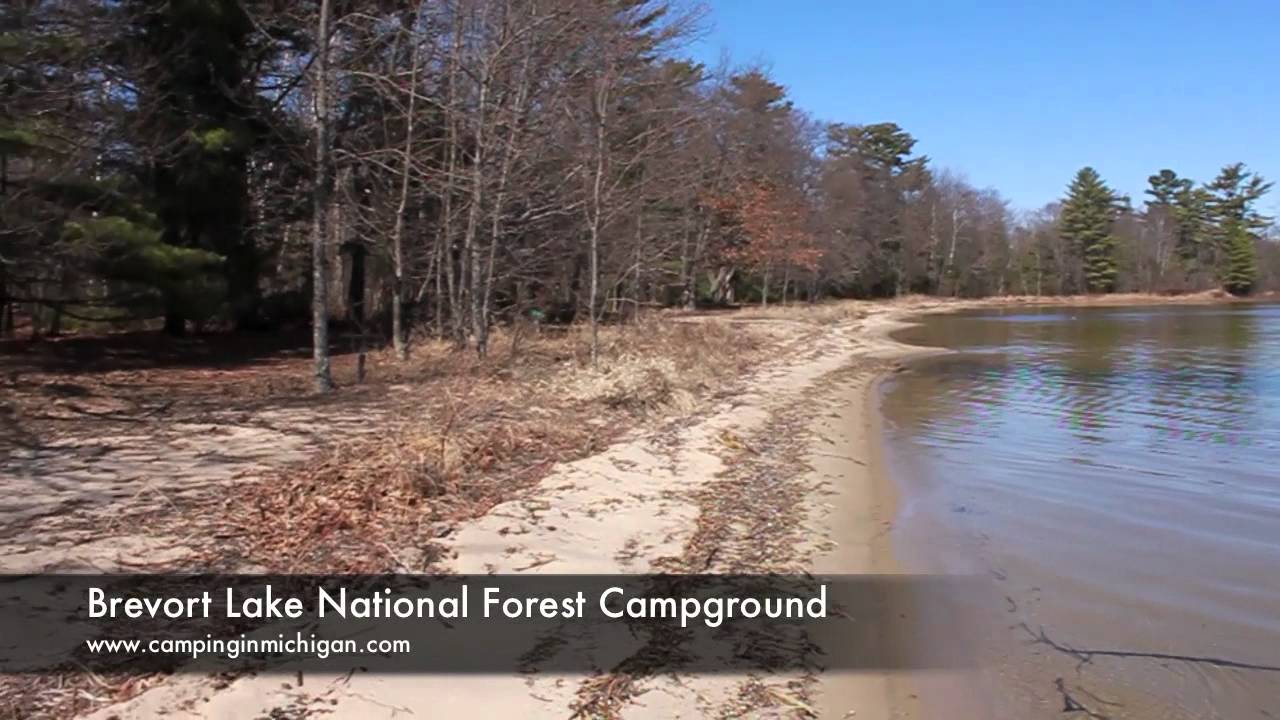Brevort Lake National Forest Campground - YouTube