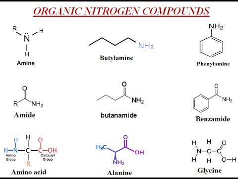 Amines, Amides, Amino acids, Proteins - A2 Chemistry - Dr Hanaa Assil ...