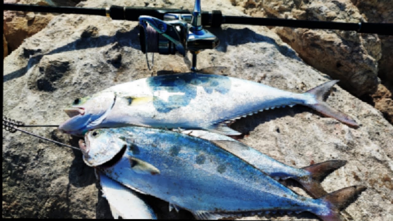 Fishing at Corniche Tower Al Khobar K.S.A. - YouTube