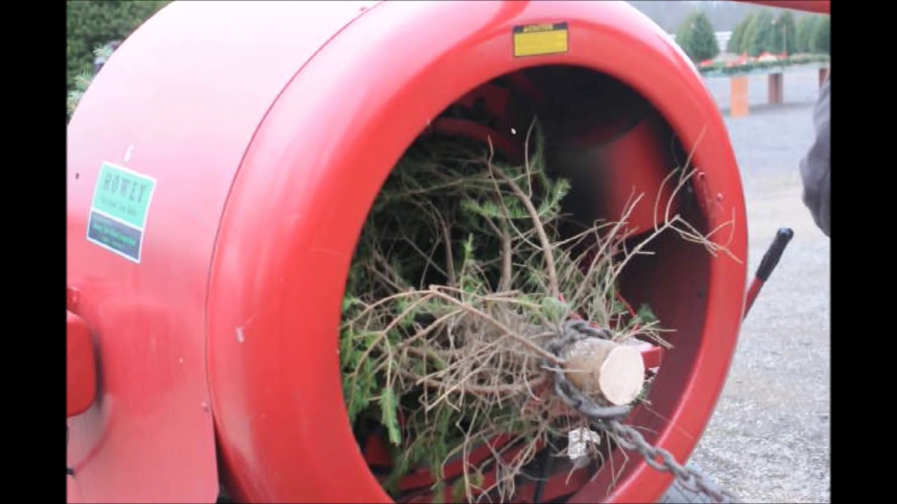 Christmas Tree Farm Wrapping a Tree - YouTube