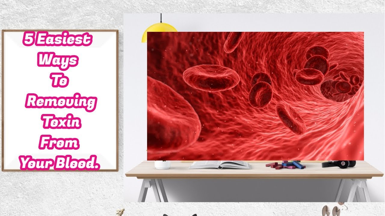 Blood purify, 5 Easiest Ways To Removing Toxin From Your Blood. - YouTube