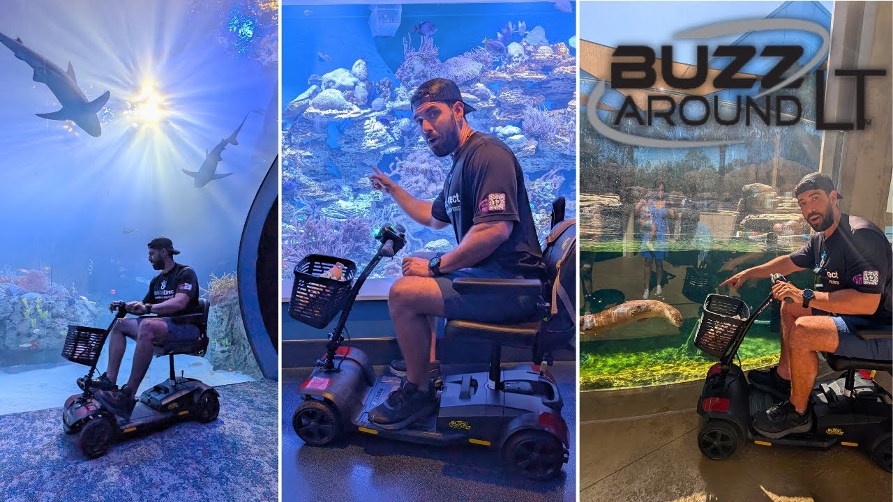 Golden Buzzaround LT (GB108) – Real-World Mobility Scooter Review at ...