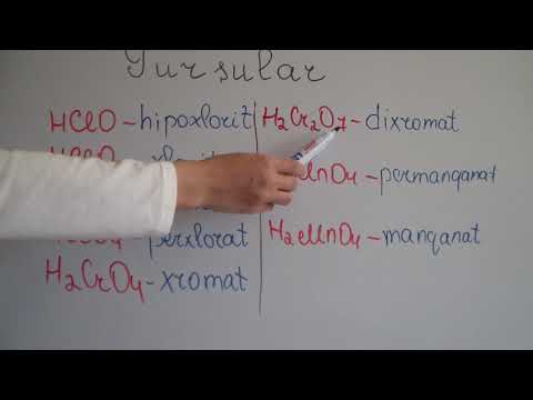 Turşular-adlandırılması, təsnifatı, quruluşu