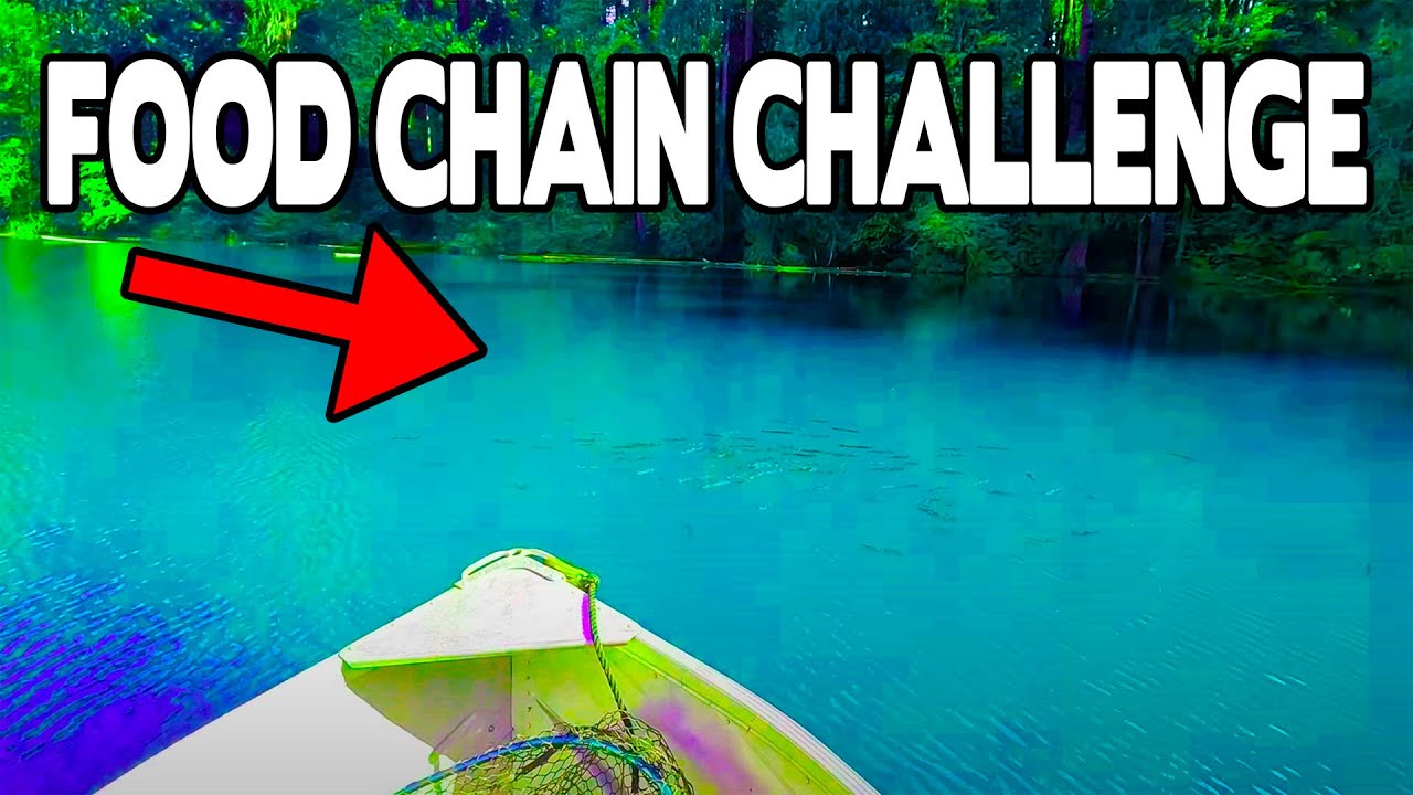 Food Chain Fishing CHALLENGE! (Catch & Cook) - YouTube