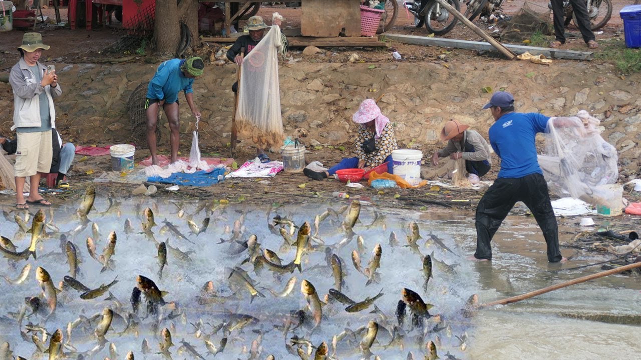 cast net fishing in river, amazing cast net fishing skills#3 - YouTube