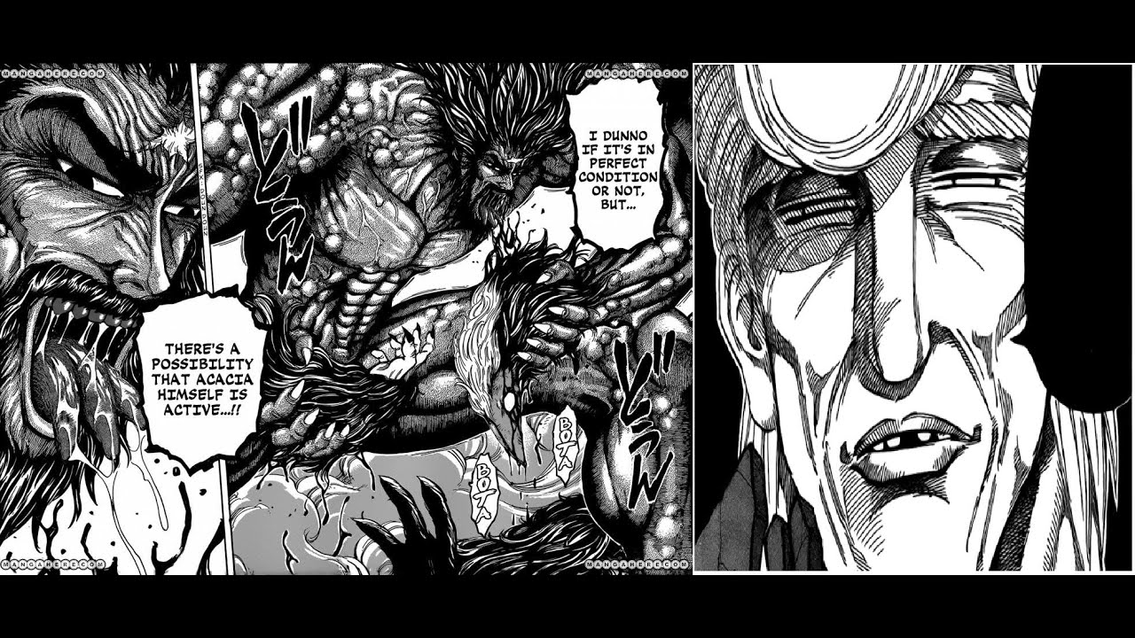 Toriko chapter 339 review/ Acacia is active and Jirous full power is ...