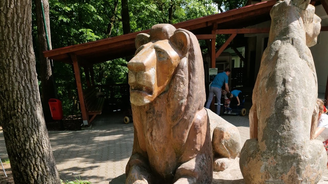 Tg Mures Zoo - Gradina Zoologica Part 1/3 - YouTube