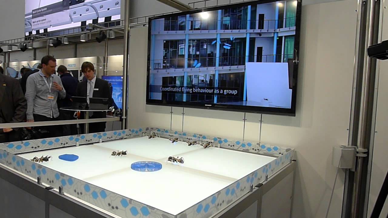 Festo Ants and Butterfly 1 - YouTube