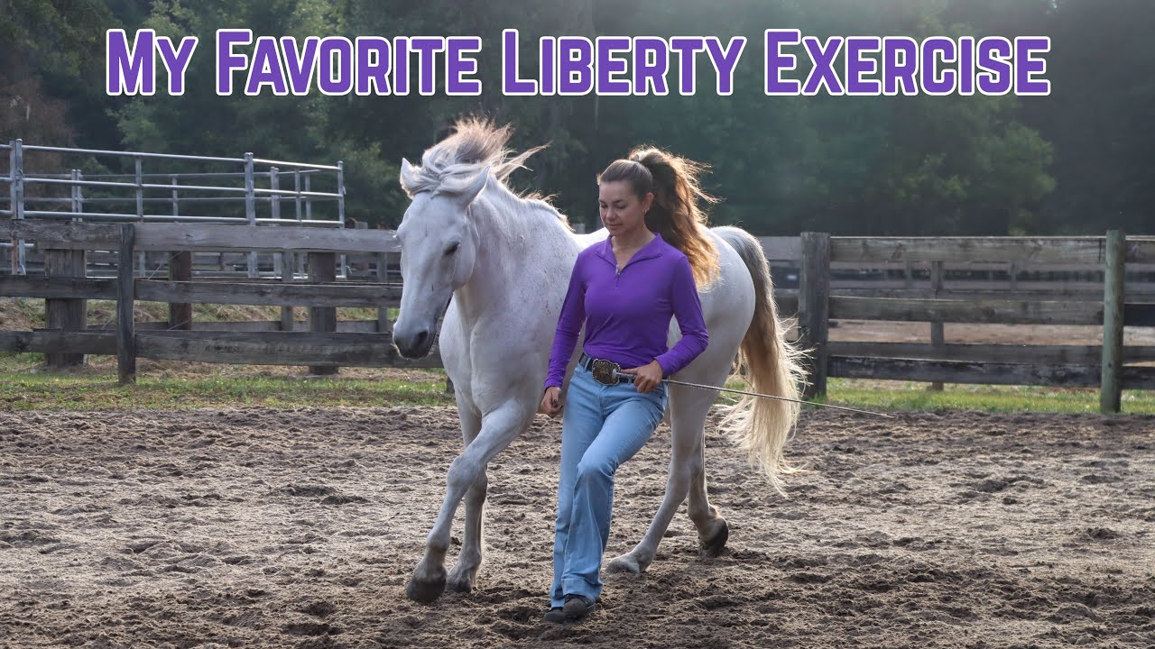 My Favorite Liberty Exercise! - Starting Liberty w/your Horse - YouTube