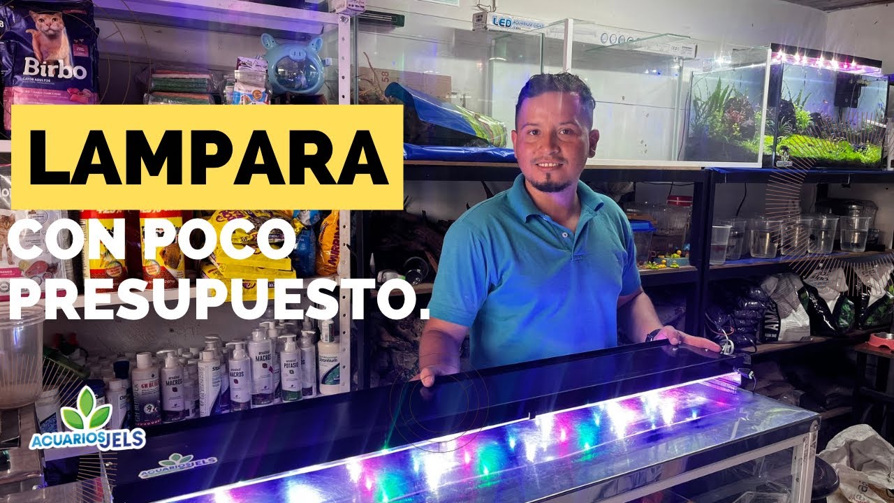 Lámpara casera para acuario plantado con led de 3w cómo hacer fácil y ...