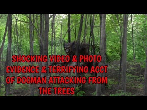 #DOGMAN, SHOCKING VIDEO & PHOTO EVIDENCE & TERRIFYING ACCT OF DOGMAN ...