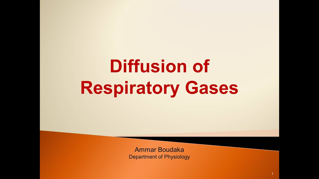 Diffusion of Respiratory Gases - YouTube