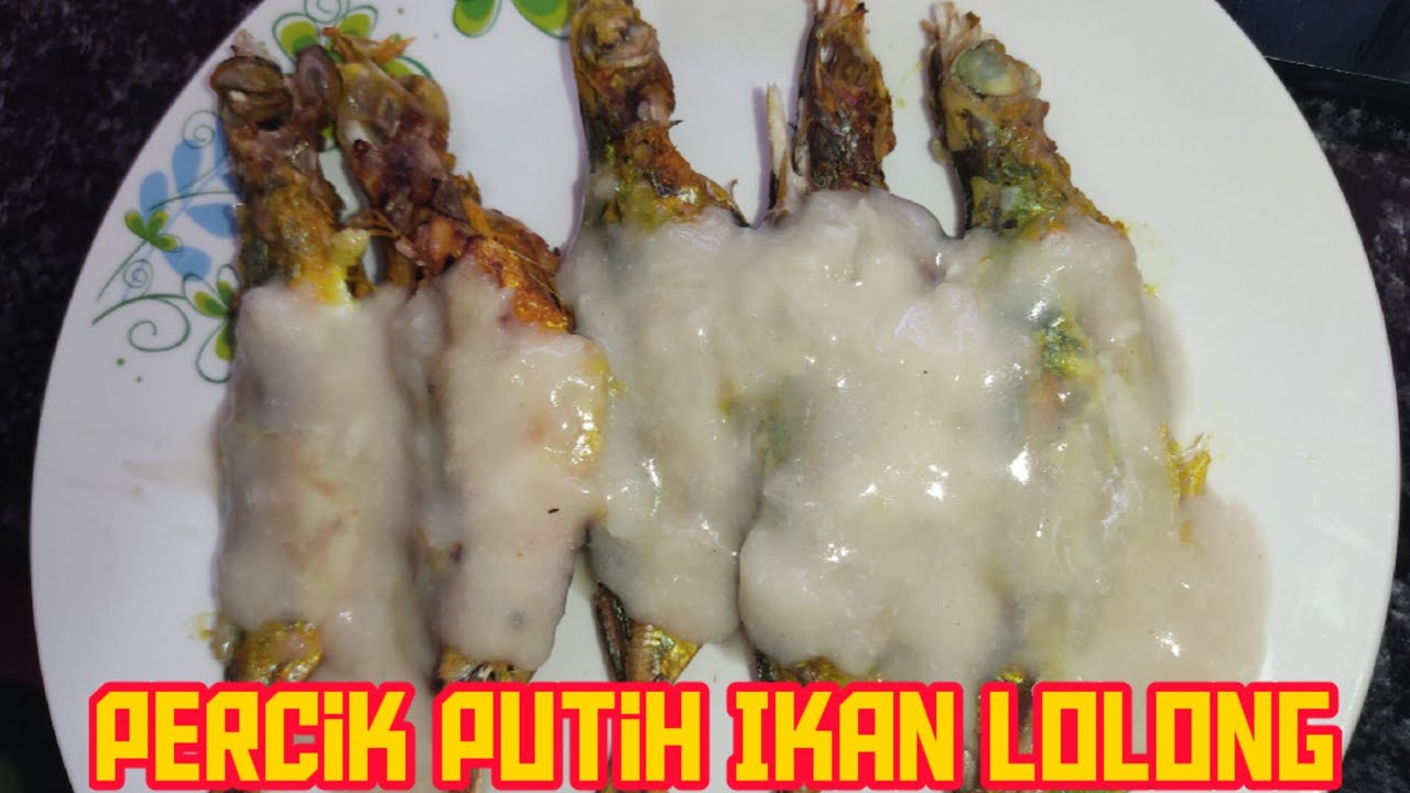 Percik Putih ikan Lolong - YouTube