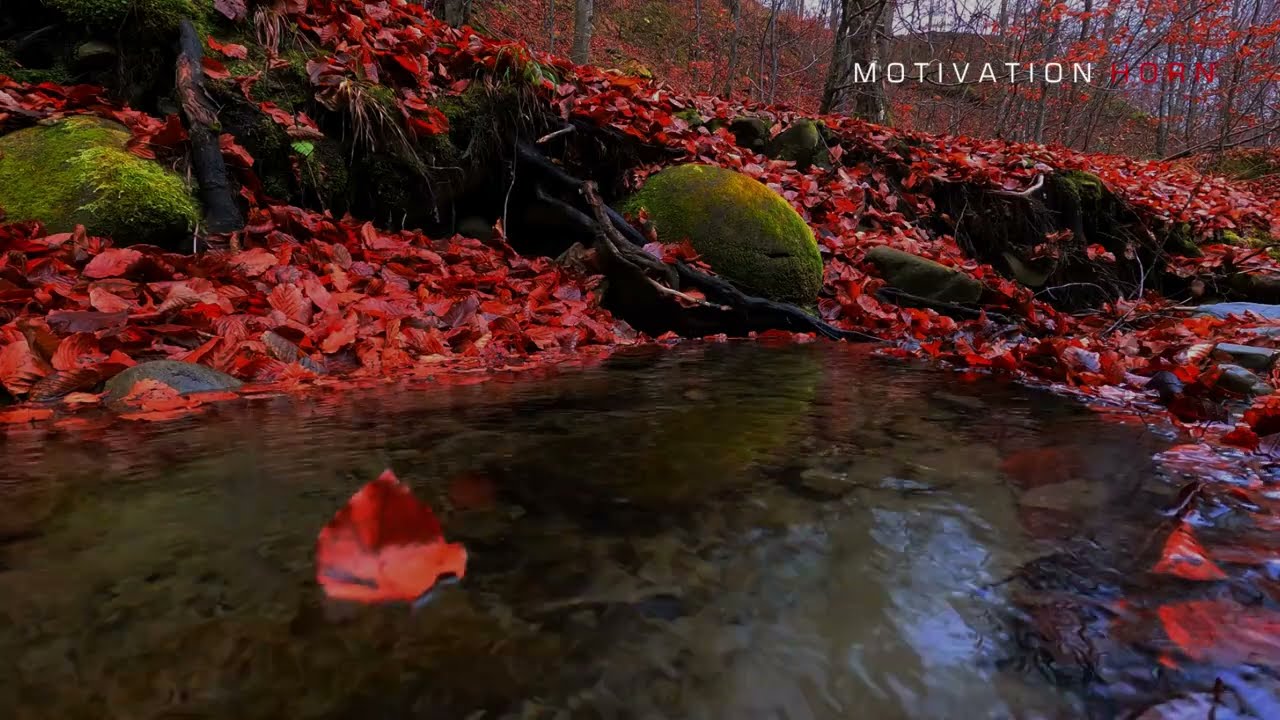 Soft Ambient Music for Evening Relaxation and Unwinding - YouTube