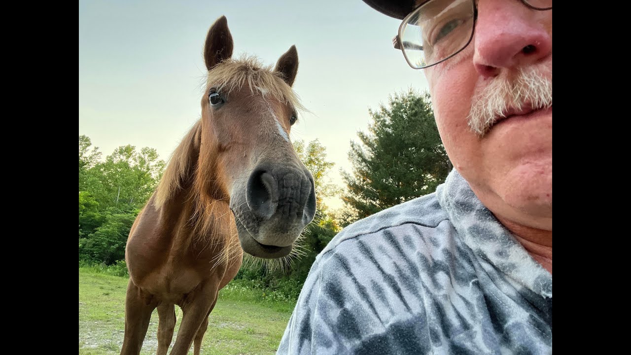 We Go to South-Fork Elk View near Jackson Kentucky - YouTube