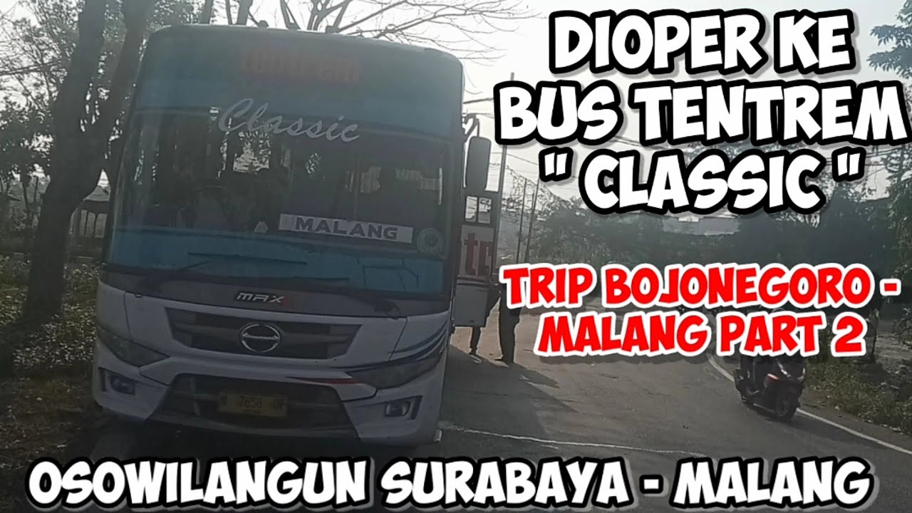 KENA OPER, BUS DALI PRIMA CUMA MENTOK SAMPAI SURABAYA AJA Trip ...