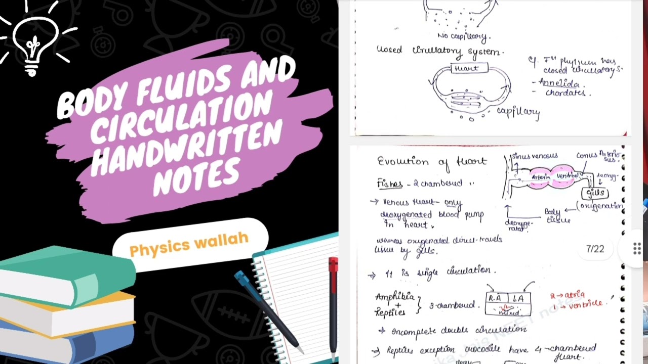 Body fluids and circulation handwritten notes || Human physiology NEET ...