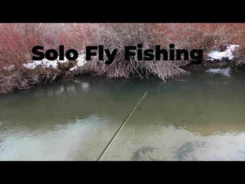 Solo Fly fishing in the Snow - YouTube